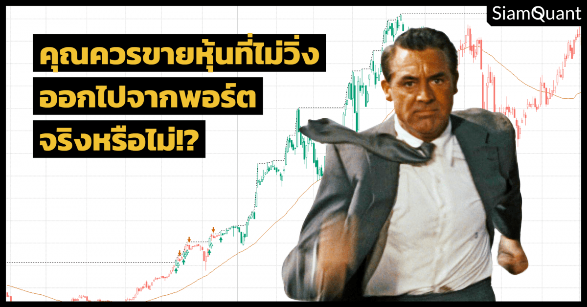 Should you chasing hot stocks - SiamQuant - SiamQuant